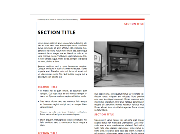 Propark Branding | Propark Mobility