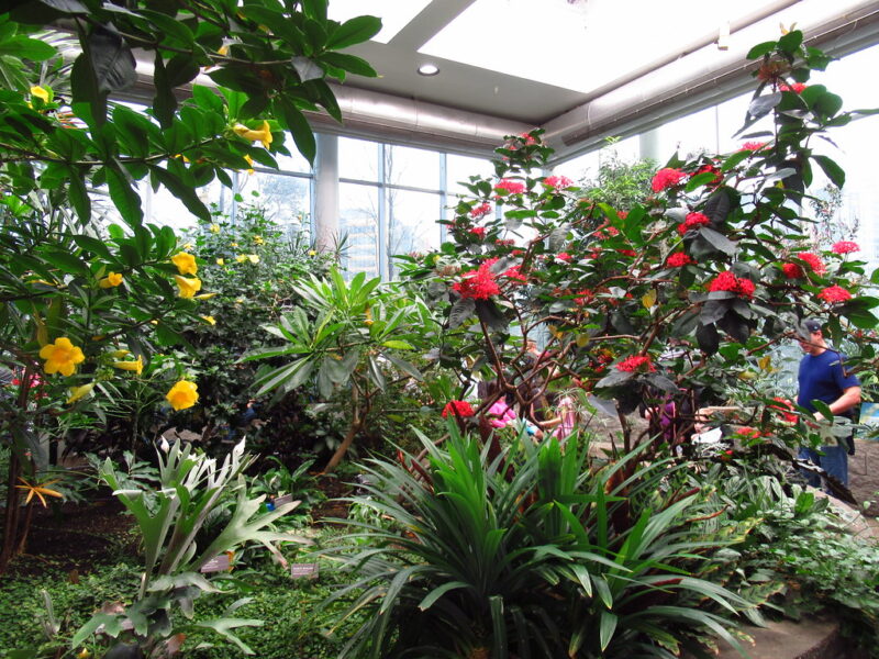 Tropical Butterfly House | ABM Parking