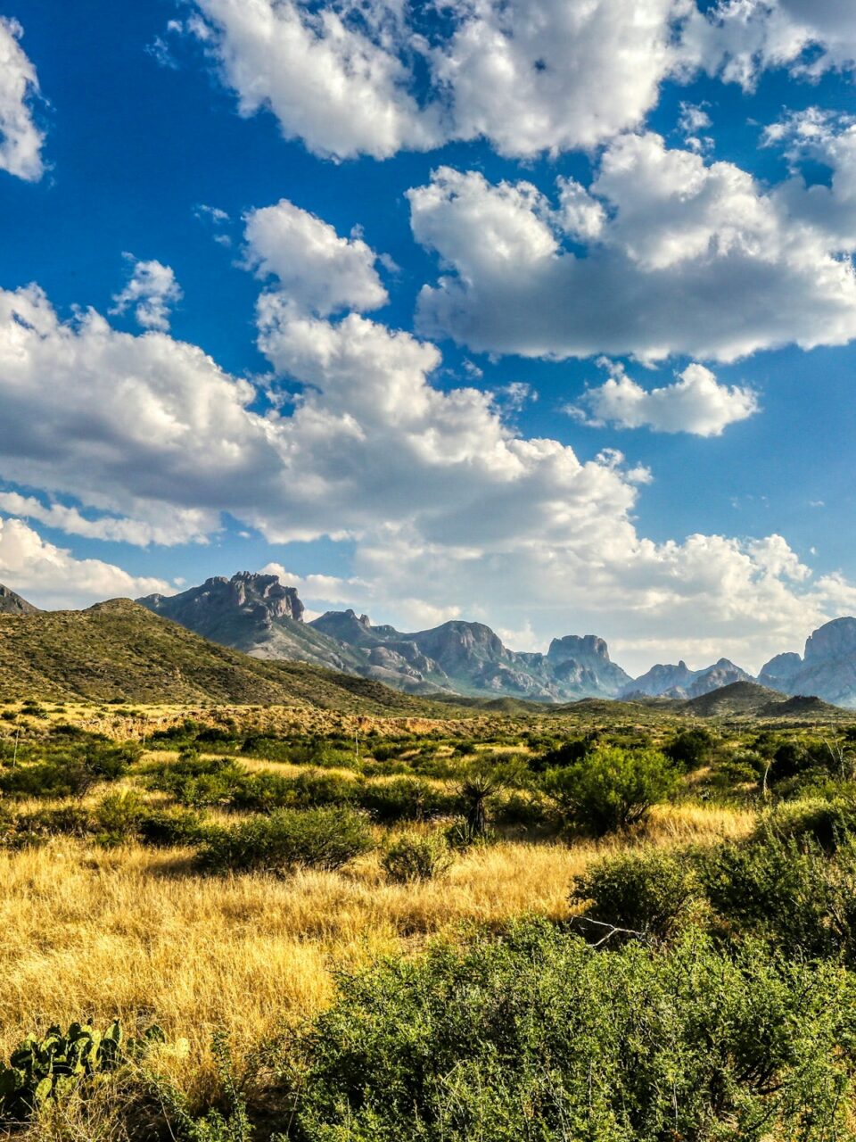 Texas | Pivot Parking